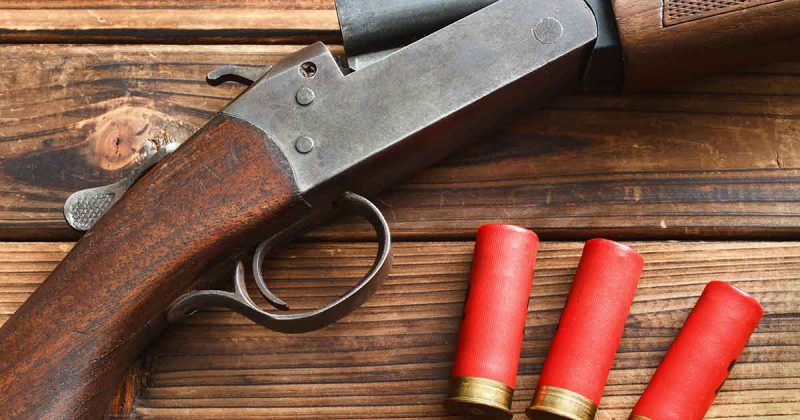 Choosing Your First Shotgun - GunBroker.com