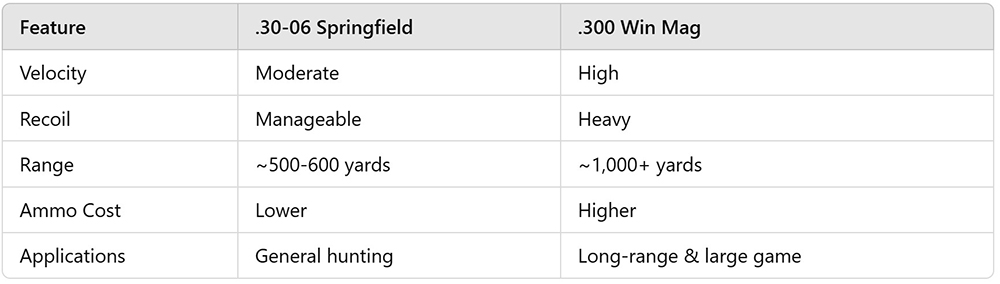 30-06 vs 300 Win Mag Head-to-Head Ballistics - GunBroker.com